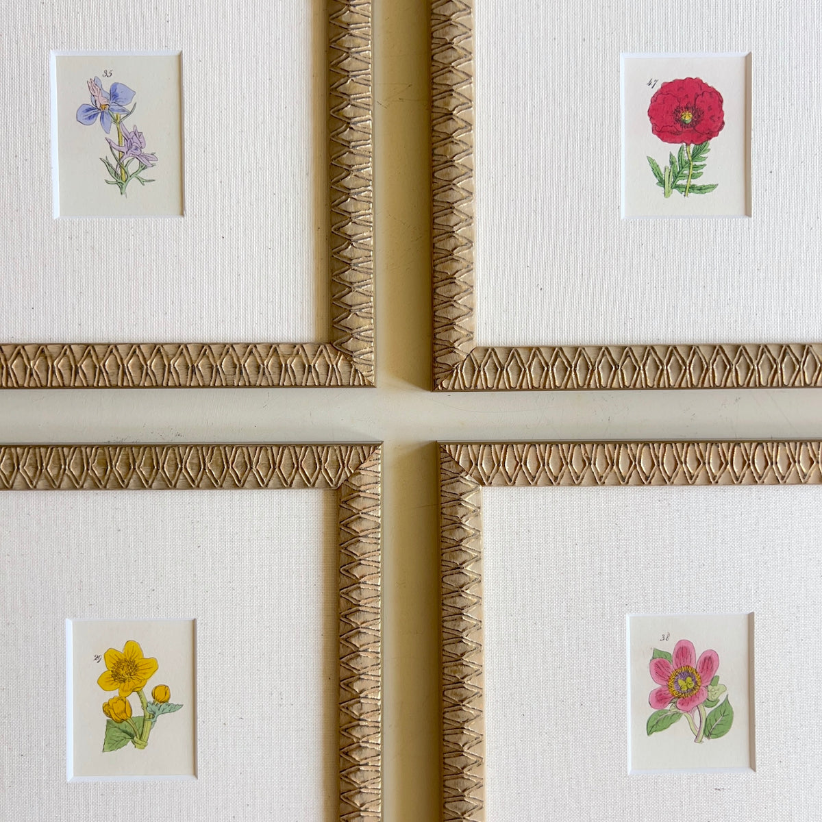 Wild Birth Flowers – Petri Prints